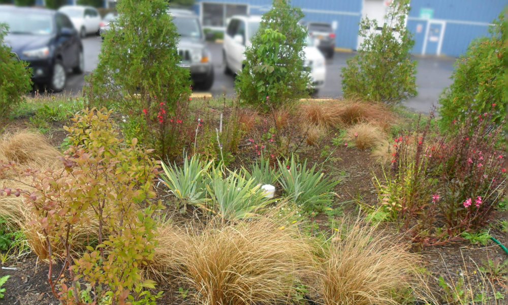 Green Infrastructure - Terry Horst Landscape Architecture, PC